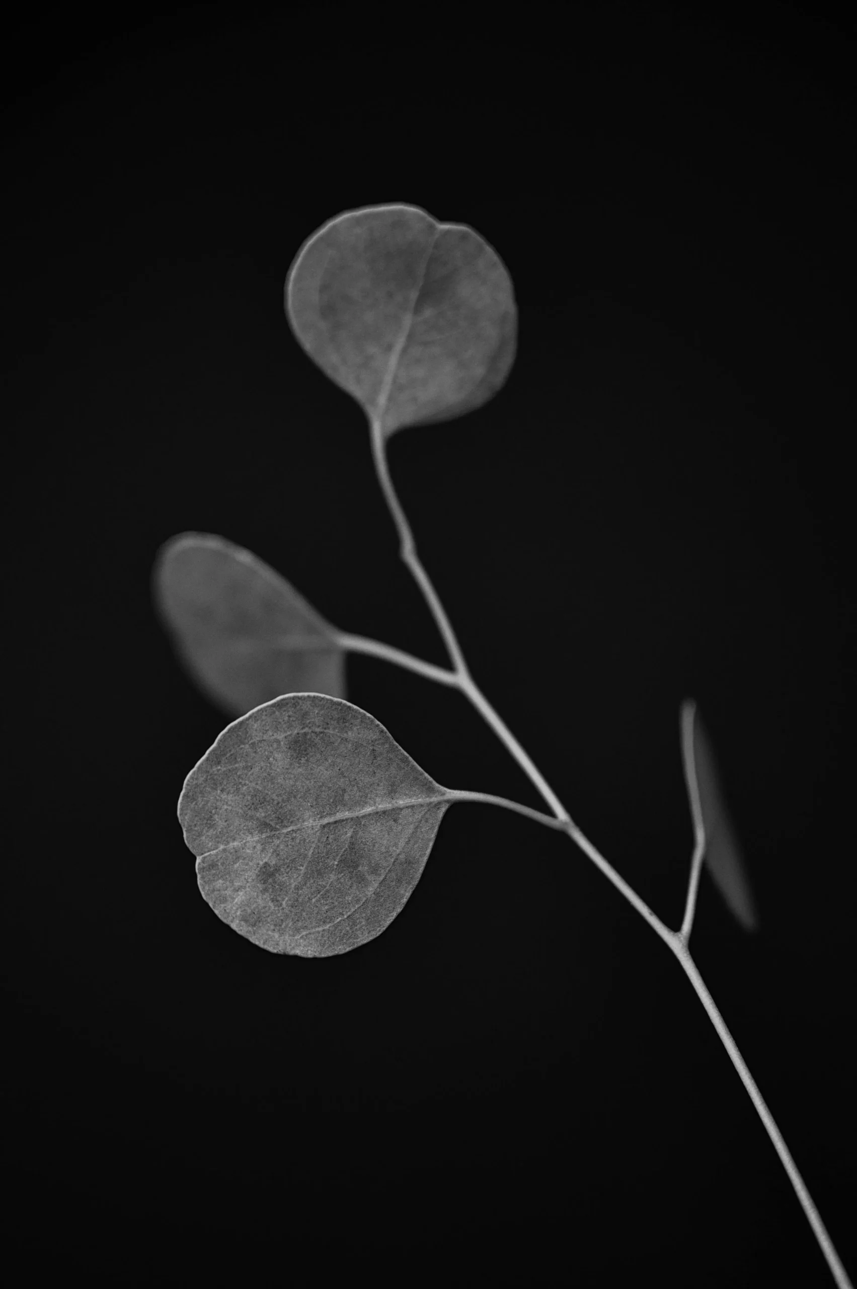 Lessons Learned | Aviator Capital